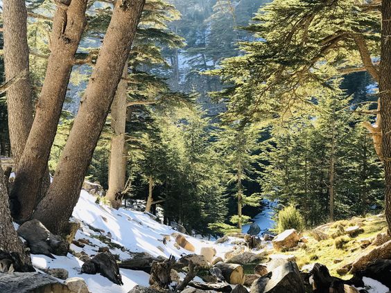 Parc national de chélia - Discover